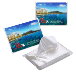 Quick Ship 10-Count Promo Tissues w/Full Color Label | Sudekusa